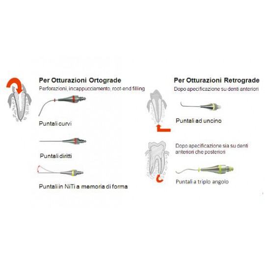 Buy MTA ENDO GUN Sys.PUNTALE NITI MEMORIA 090